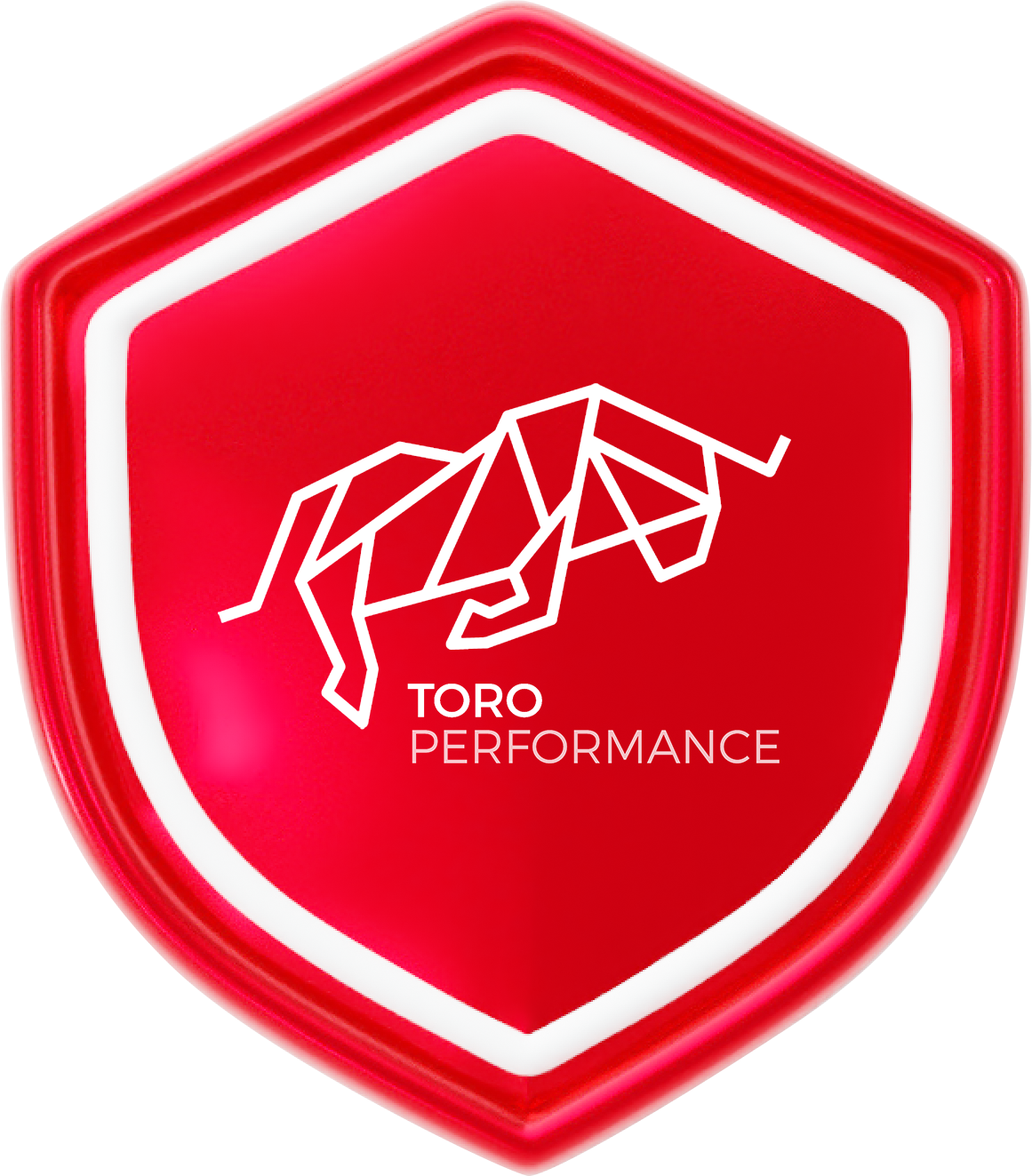 Toro Performance | Cybersecurity